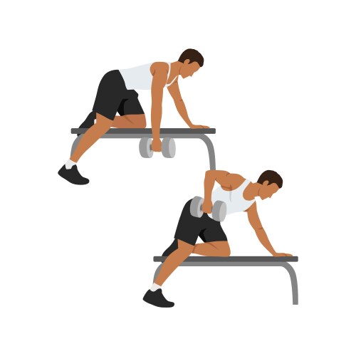Man doing seated lever machine one arm row Vector Image