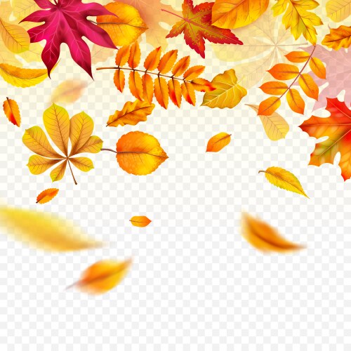 Autumn Border Transparent Background Vector Images (over 530)