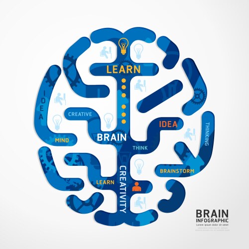 Infographics brain design diagram point style Vector Image