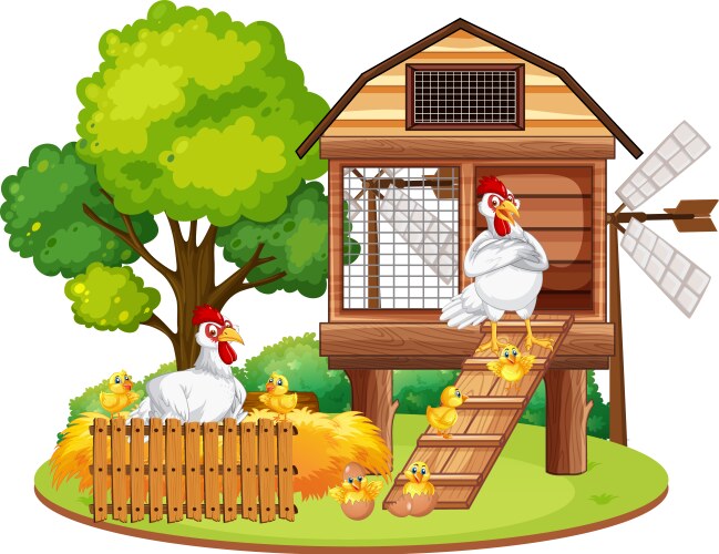 Cartoon chicken coop and hen isolated on white Vector Image