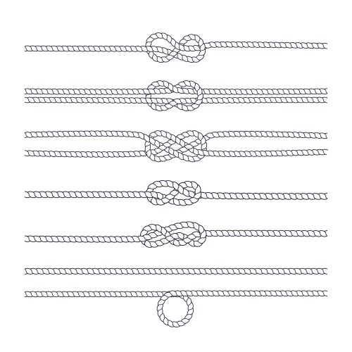 Knot Vector Images (over 64,000)