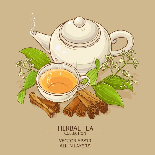 Cinnamon tea Royalty Free Vector Image - VectorStock