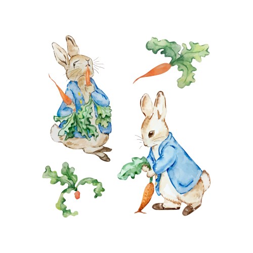 Watercolor peter rabbit in pink jacket Royalty Free Vector