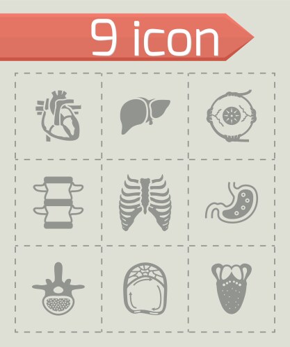 Colon Anatomy Vector Images (over 5,500)