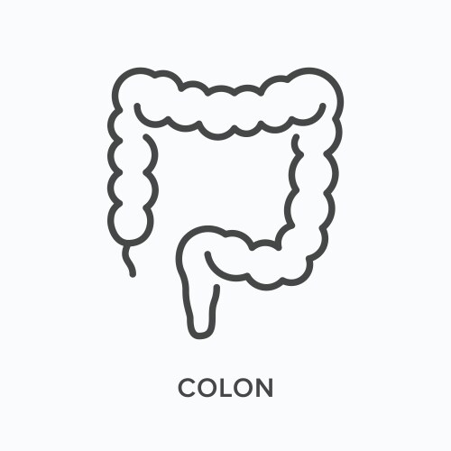 Colon Vector Images (over 14,000)