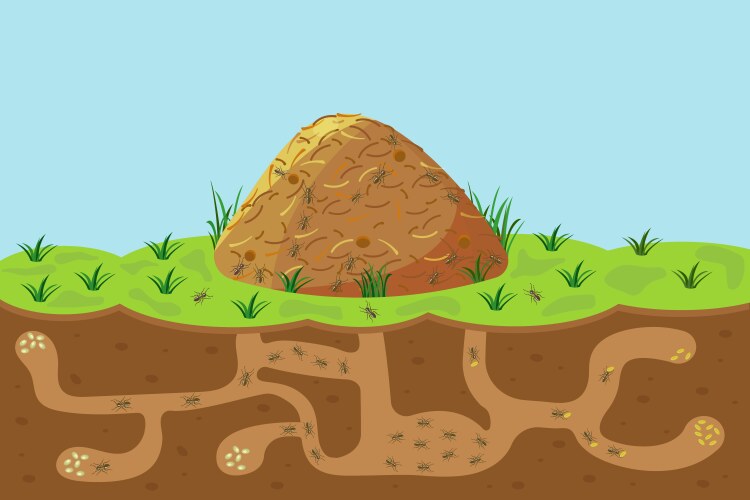 Anthill in forest land Royalty Free Vector Image