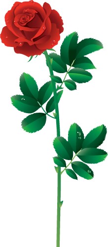 Rose Vector Images (over 330,000)