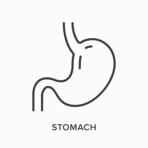 Stomach Outline Vector Images (over 6,500)