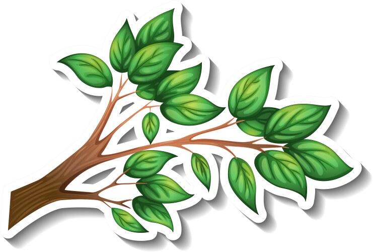 Cartoon sticker with green tree leaf Royalty Free Vector