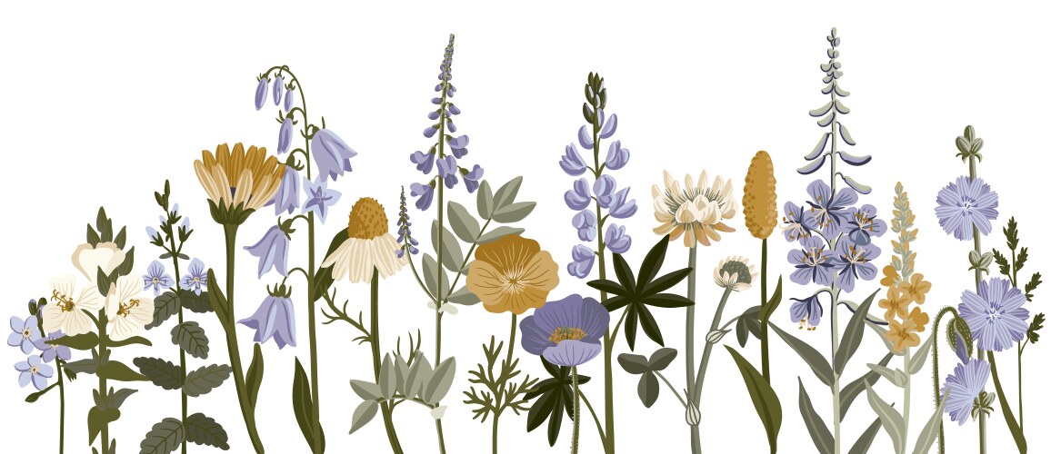 Wildflower Vector Images & Graphics for Commercial Use | VectorStock