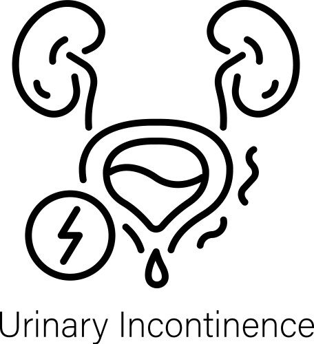Urinary Incontinence Icon Vector Images (over 370)