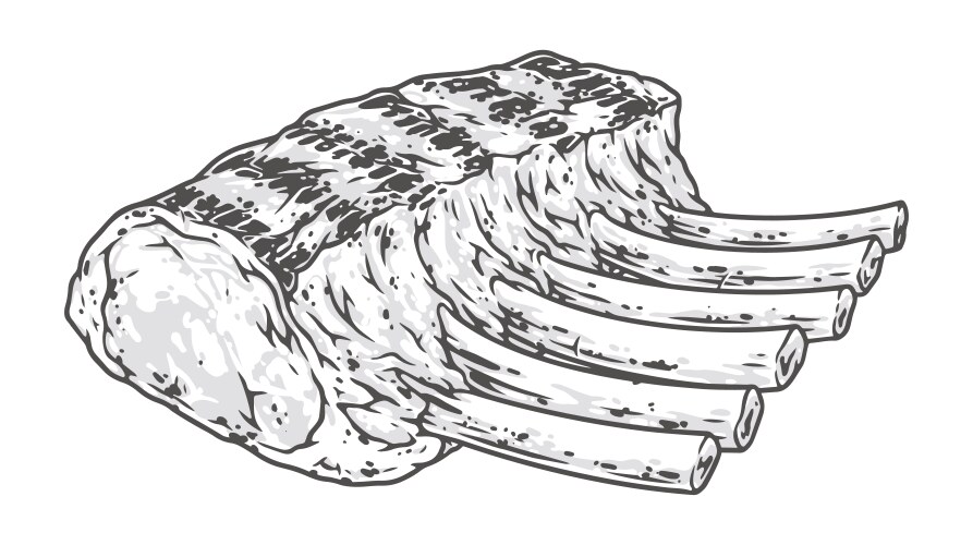 Ribs Vector Images (over 16,000)