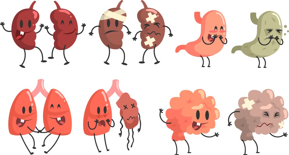 Healthy and unhealthy human internal organs Vector Image