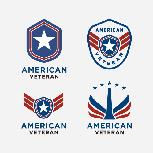 American flag wings military veteran army logo Vector Image