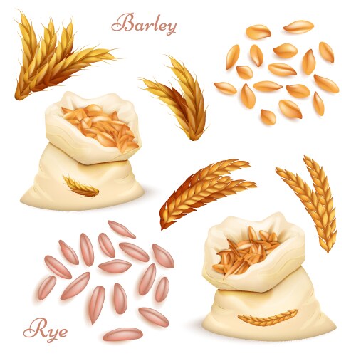 Barley Vector Images (over 37,000)