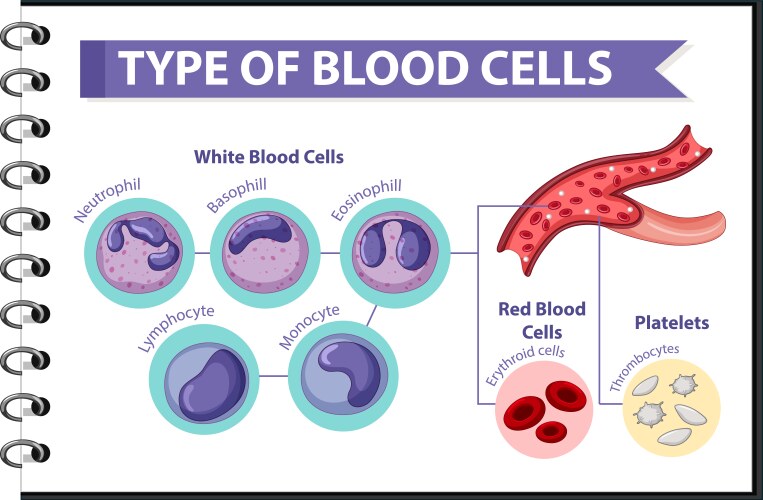 Blood Cartoon Vector Images (over 30,000)