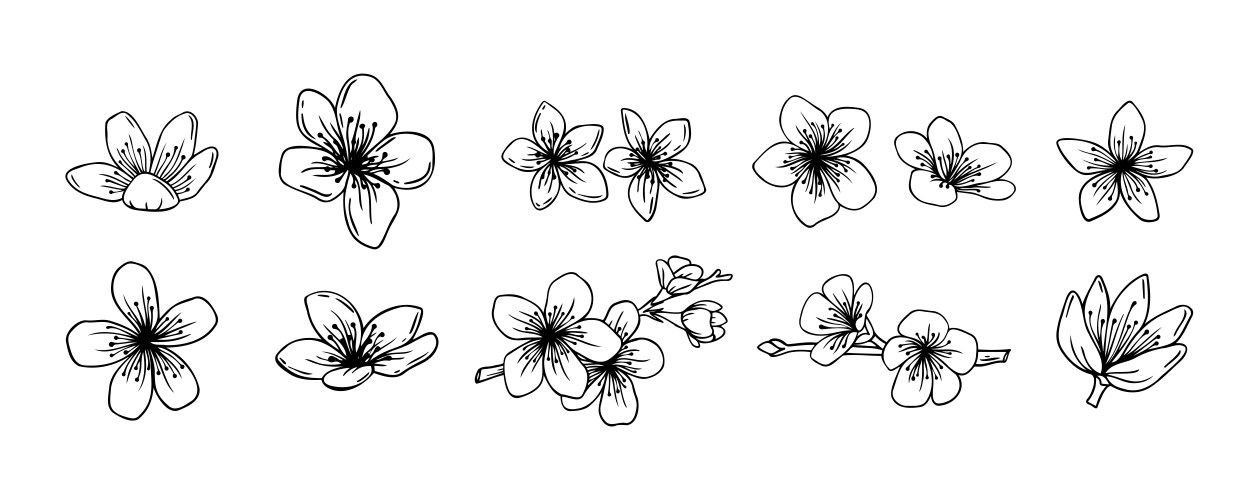 Cherry Blossom Outline Vector Images (over 2,800)