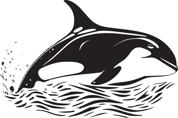 Orca Outline Vector Images (over 520)