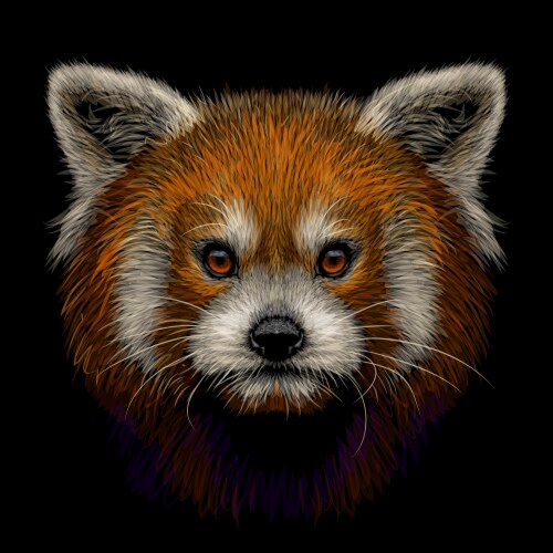 Red Panda Face Paint Red Panda Face Paint For Kids