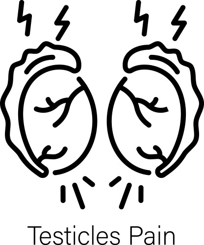 Testicle Vector Images (over 2,600)