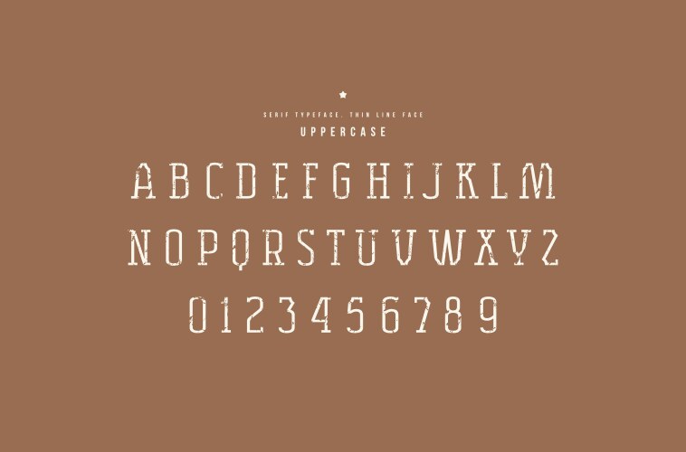 Font alphabet script typeface handcrafted Vector Image