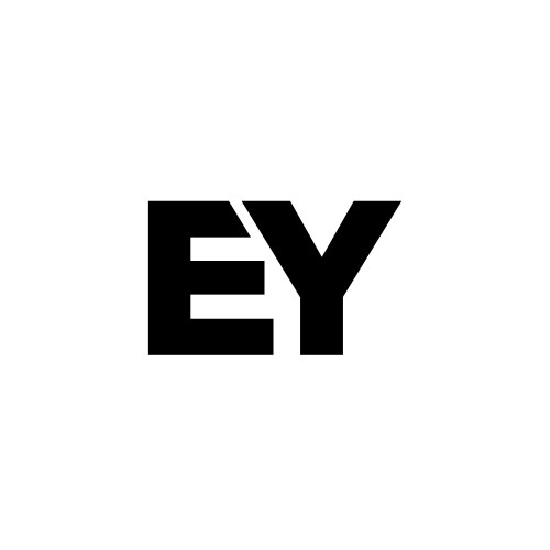 Letter y and e ye logo design template minimal Vector Image