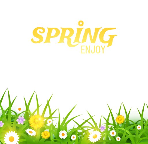 Spring grass background Royalty Free Vector Image