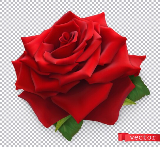 Rose flower 3d realistic icon Royalty Free Vector Image
