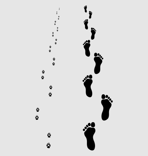 Footprints Royalty Free Vector Image - VectorStock
