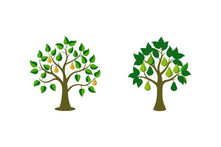 Pear Tree Vector Images (over 5,300)