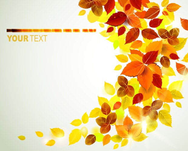 Autumn leaf fall background Royalty Free Vector Image