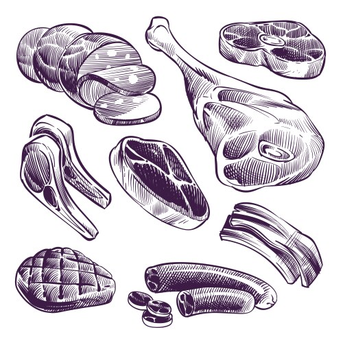 Lamb rib drawing red meat hand drawn Royalty Free Vector
