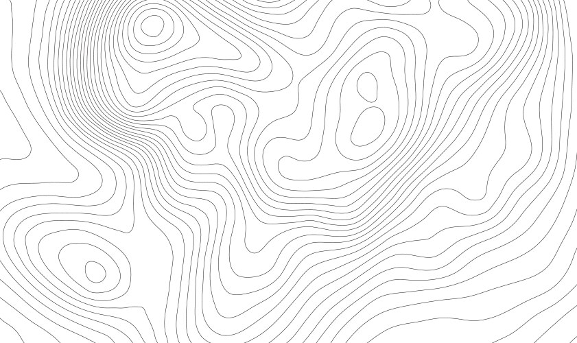 Topographical terrain map with line contours Vector Image