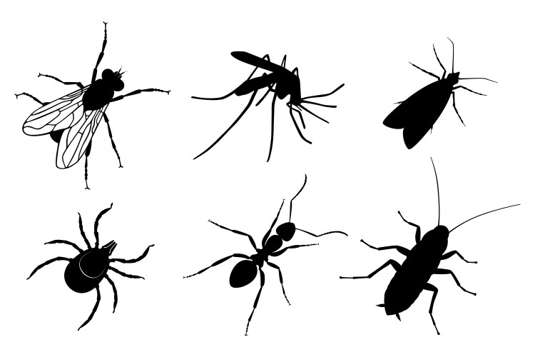 Cartoon Insects Vector Images (over 81,000)
