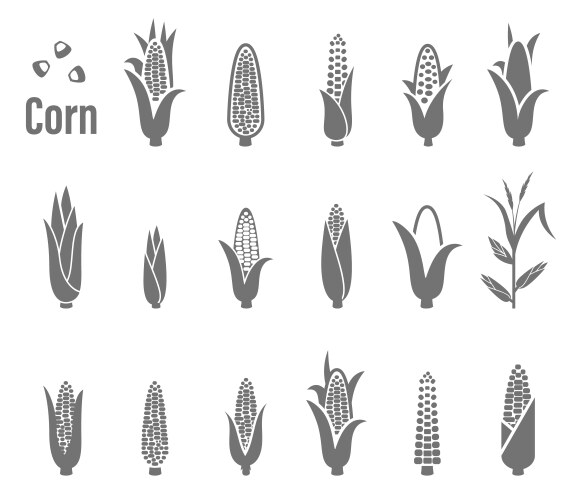Corn Field Vector Images (over 15,000)