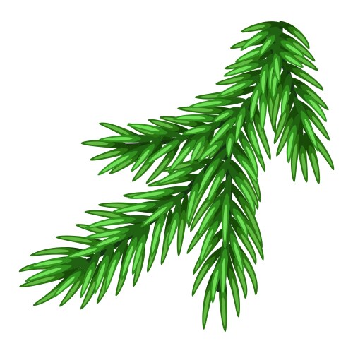Spruce Vector Images (over 56,000)