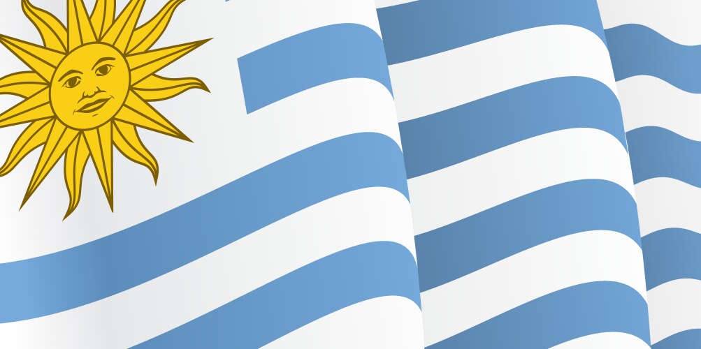 Uruguay flag Royalty Free Vector Image - VectorStock