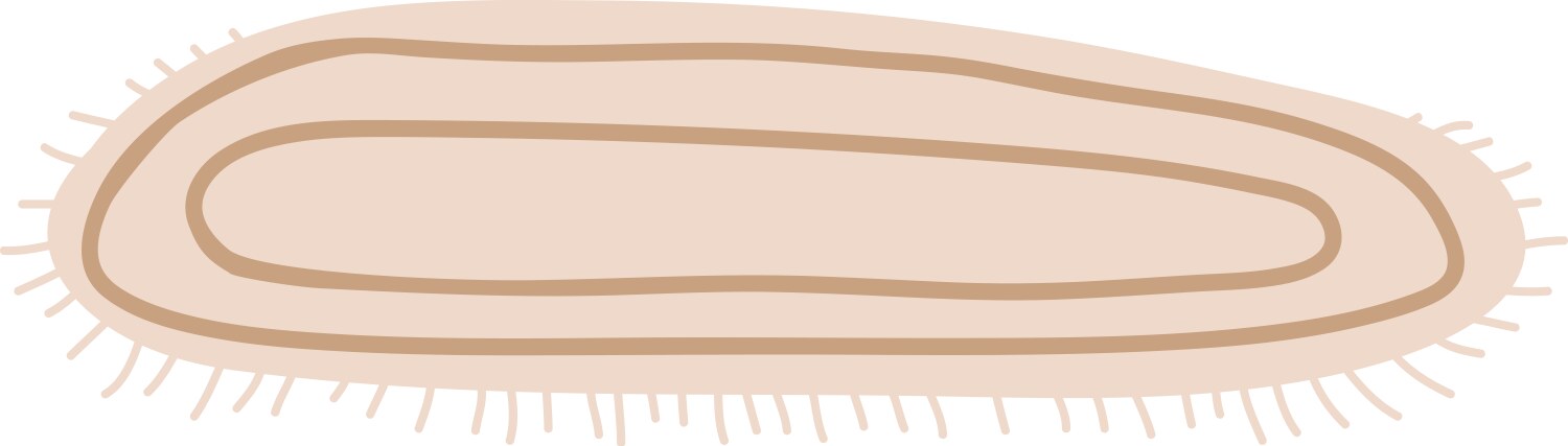 Carpet Texture Vector Images (over 61,000)