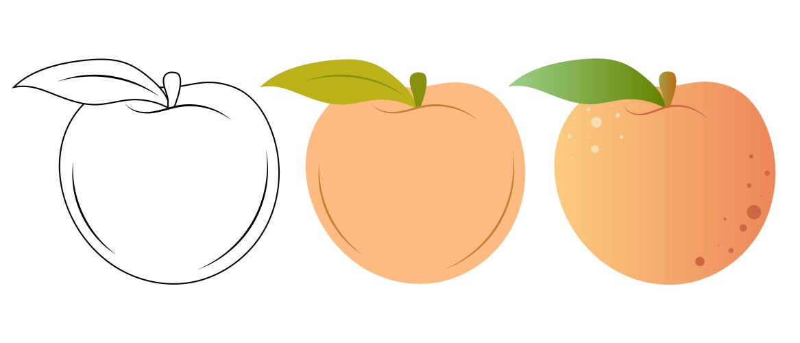 Peach Vector Images (over 36,000)