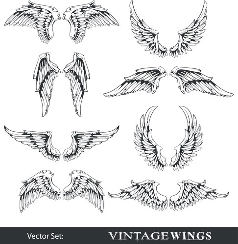 Wings Vector Images (over 500,000)
