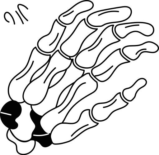 Anatomical hand Royalty Free Vector Image - VectorStock