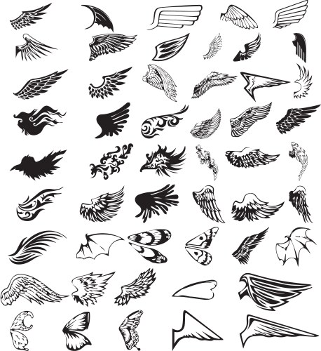Wing Vector Images (over 480,000)