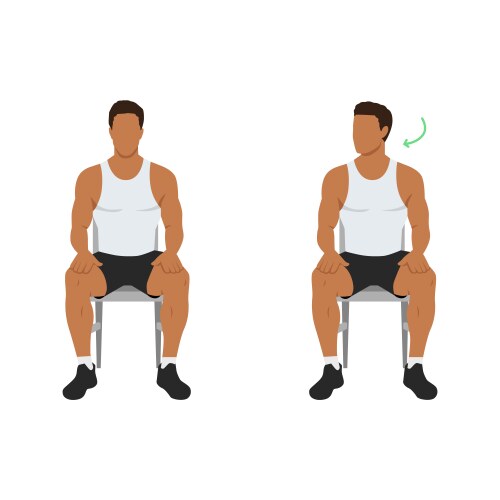 Man doing pelvic tilt with marching exercise Vector Image