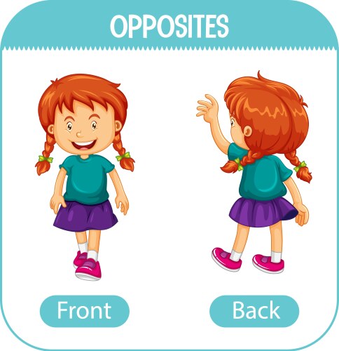 Little boy front and back Royalty Free Vector Image