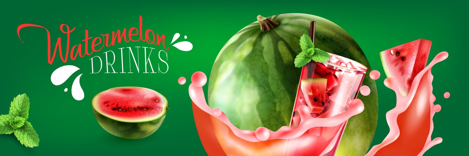 Watermelon juice advertising package design Vector Image