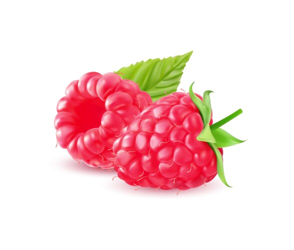 Ripe Vector Images (over 320,000)