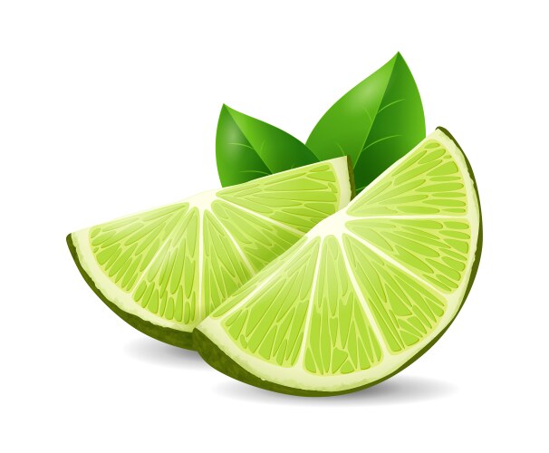 Lime Tree Vector Images (over 11,000)