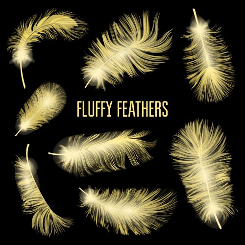 Flying white feathers falling realistic Royalty Free Vector