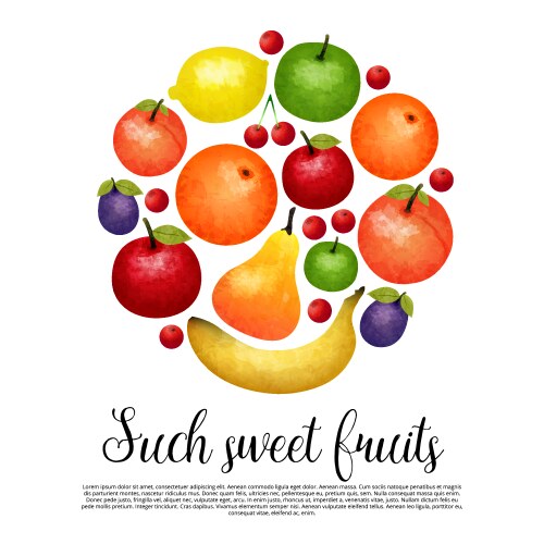 Fruit slices round Royalty Free Vector Image - VectorStock