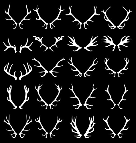 Antlers Vector Images (over 37,000)